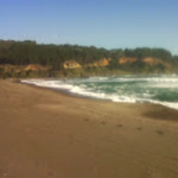 Paula Alvear | profe.social